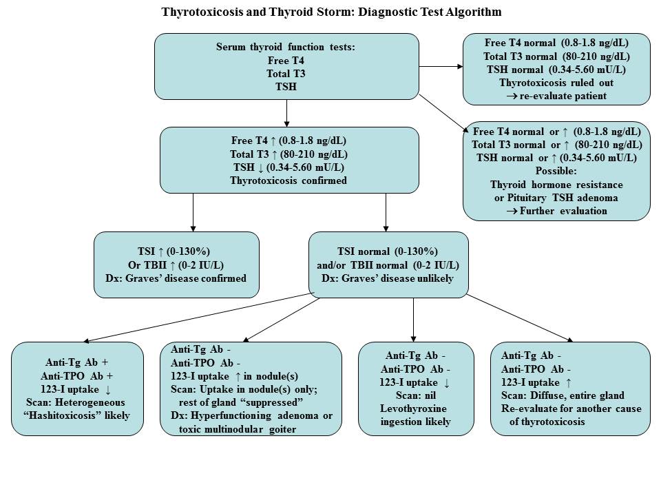 Thyrotoxicosis Thyroid Storm Cancer Therapy Advisor